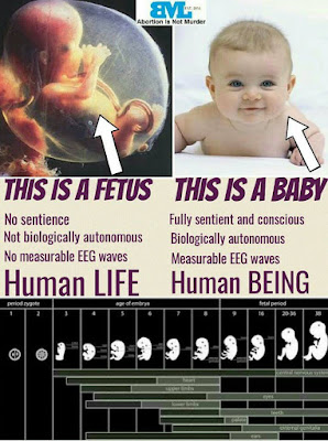 Human Beings Begin as Zygotes: Refutations to 8 Common Pro-Choice ...