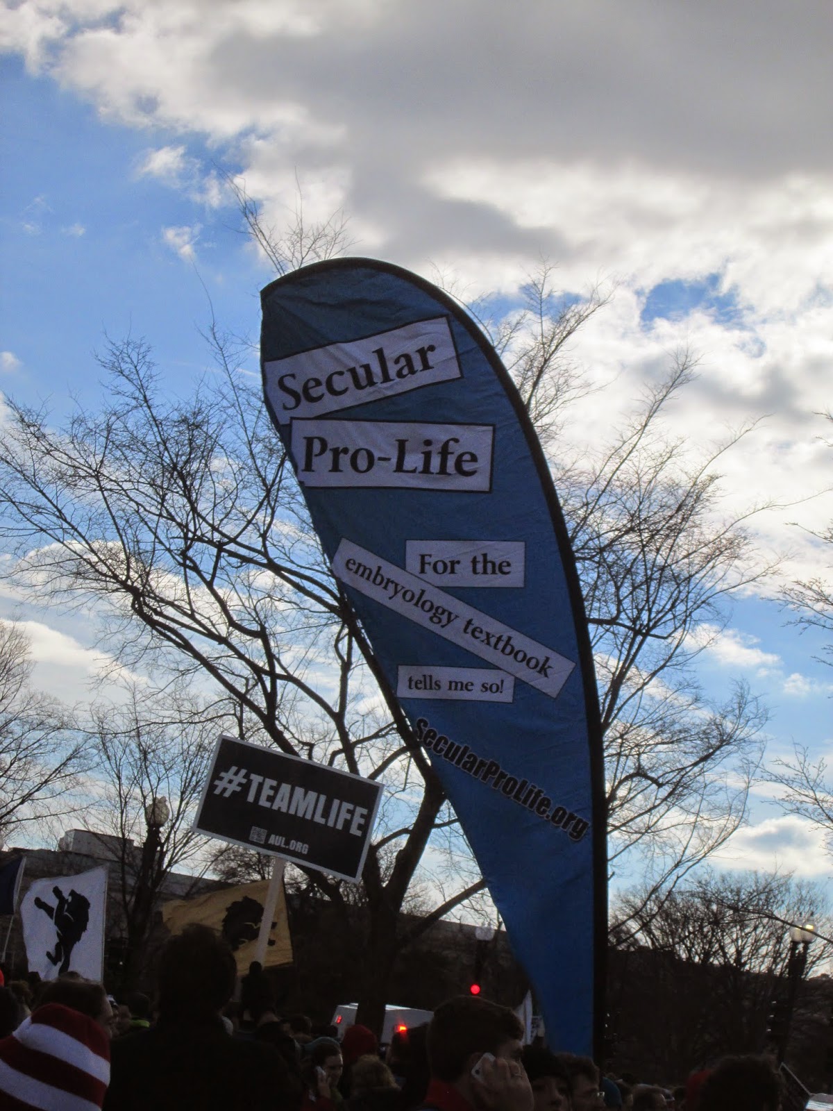 Pro-life chalk art caused Billie to start questioning her pro-choice ...