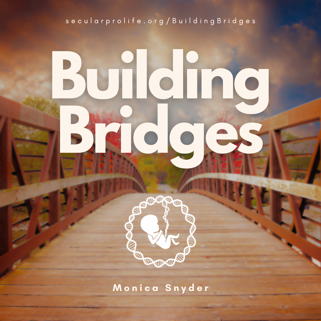 Presentation: Building Bridges - Secular Pro-Life