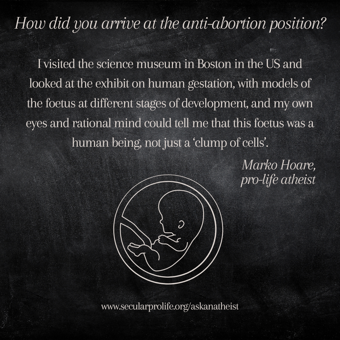 Megan's Story: A Glimpse into Post-Abortion Therapy - Secular Pro-Life